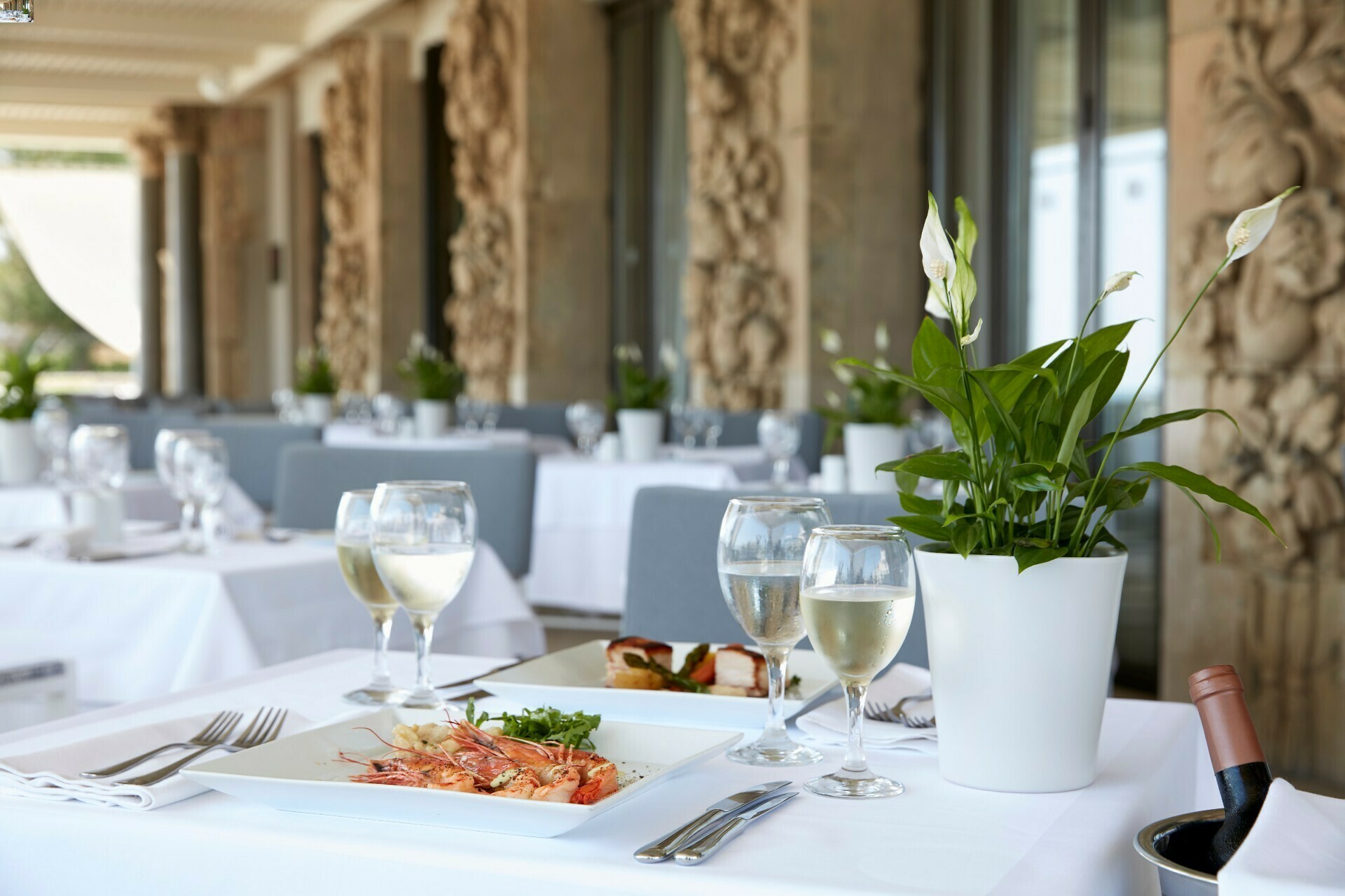 Contact Us - Mon Repos Palace